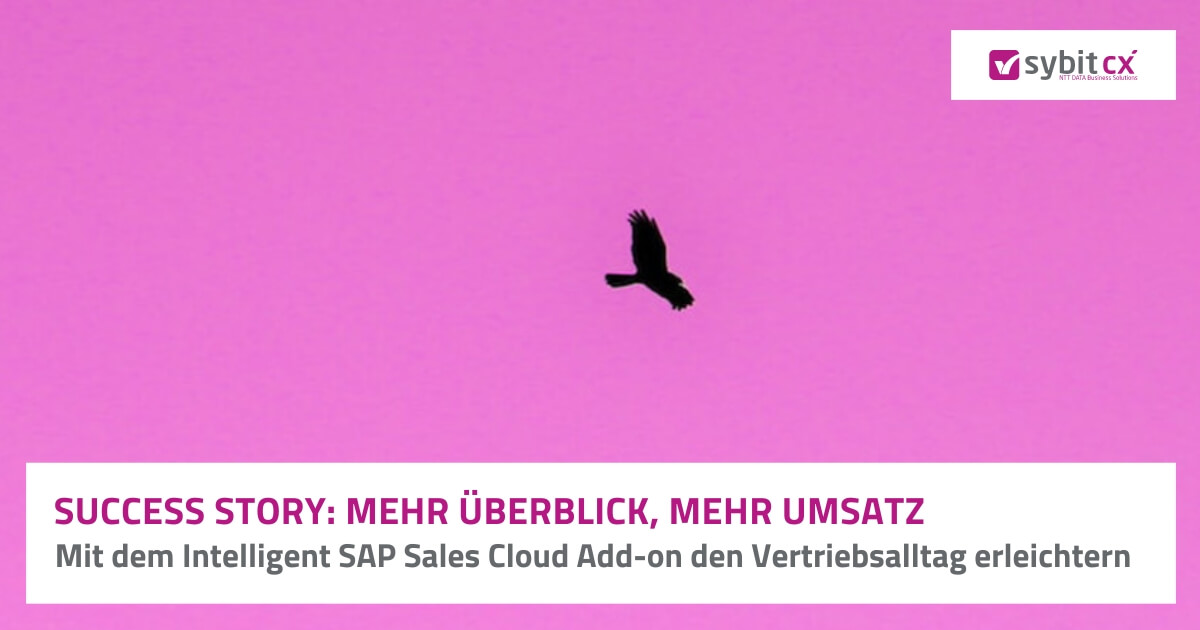 Success Story: Add-on für die SAP Sales Cloud