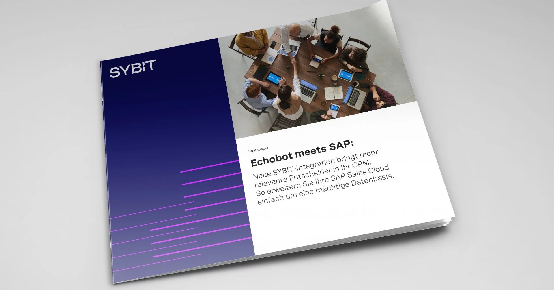 Whitepaper Dealfront meets SAP